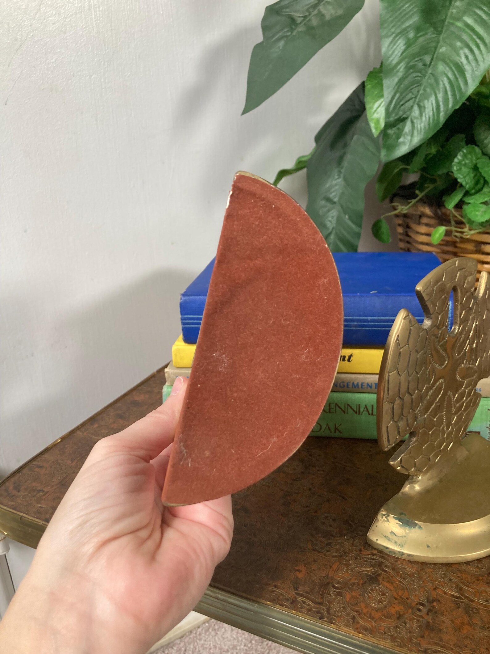 Brass Sand Dollar Bookends - Etsy