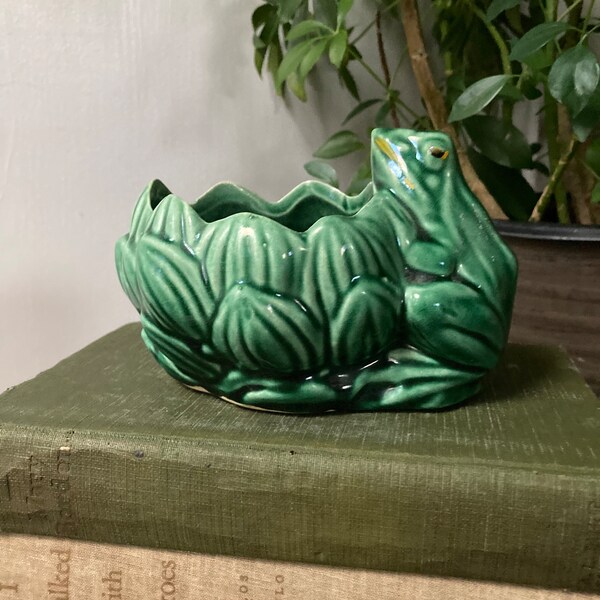 Frog Planter - Etsy