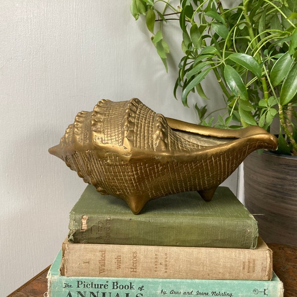 Conch Shell Planter - Etsy