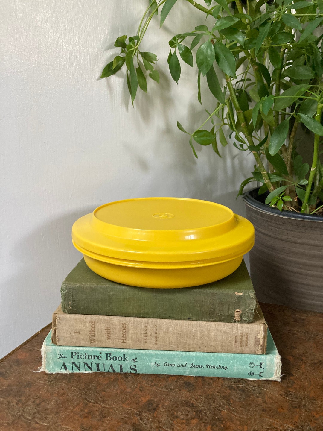Flat Yellow Tupperware Container - Etsy