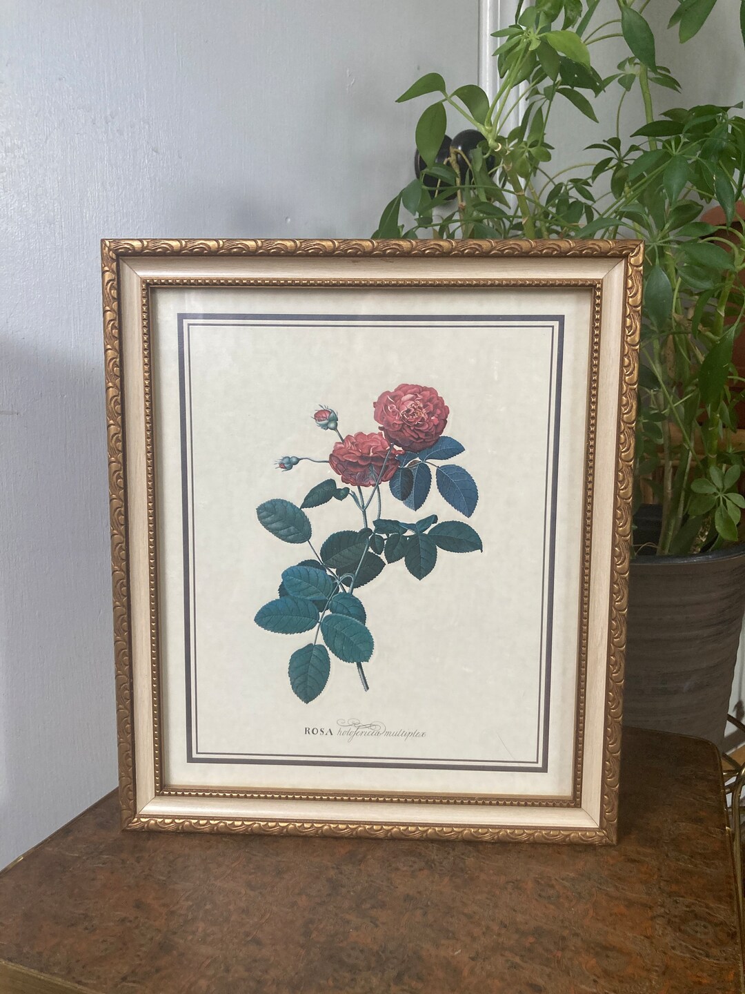 Vintage Rose Print in Gold Frame - Etsy