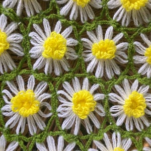Crocheted Daisy Chain Afghan - Etsy