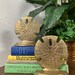 Brass Sand Dollar Bookends - Etsy