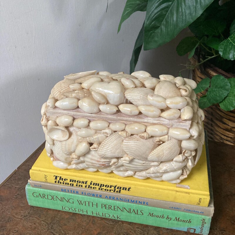 Seashell Box - Etsy