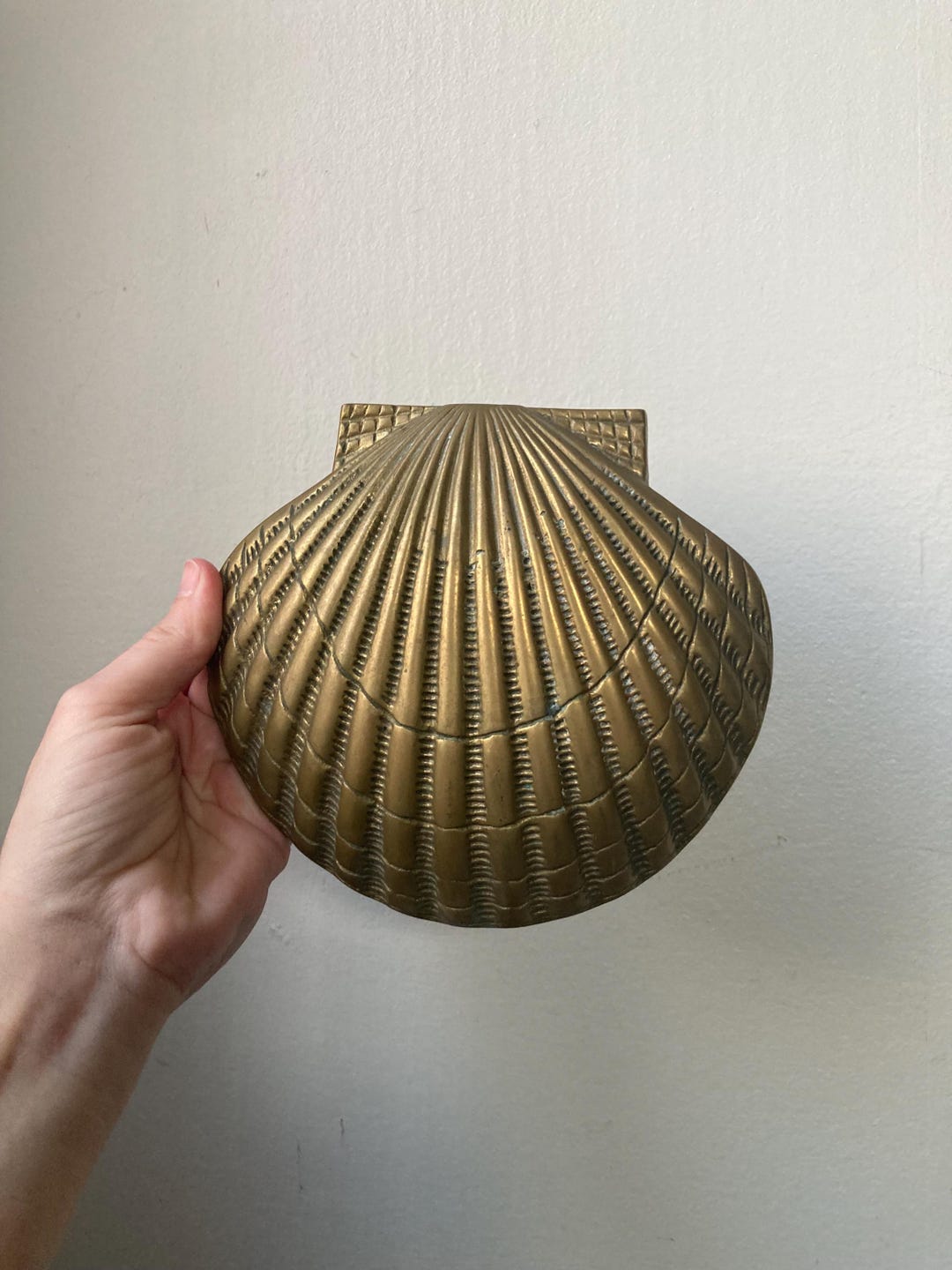 Brass Clam Shell Door Knocker - Etsy