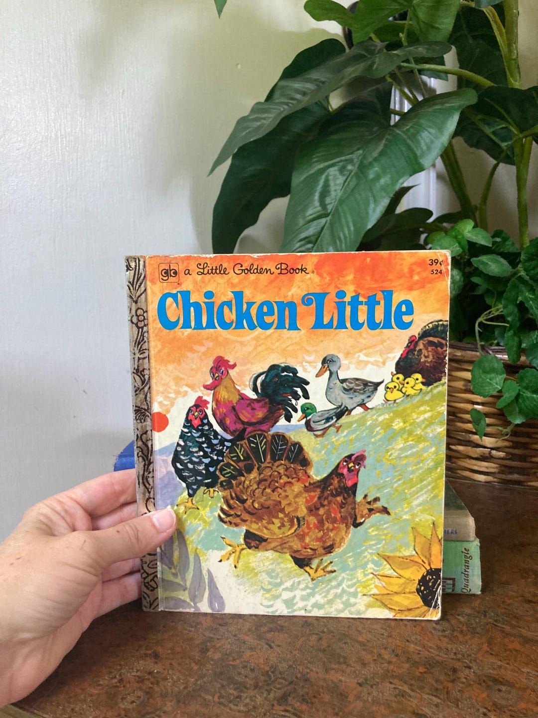 Chicken Little Little Golden Book - Etsy