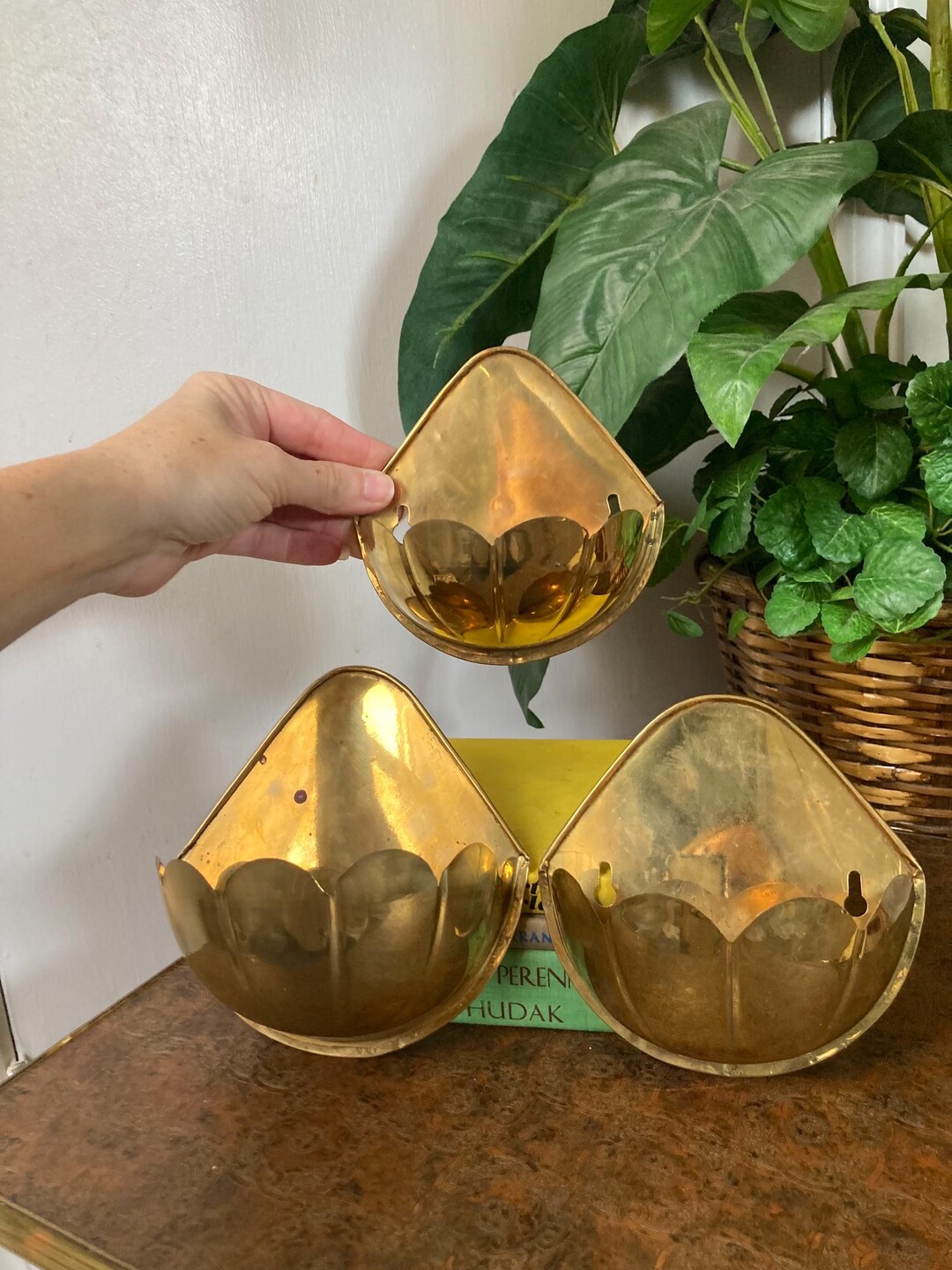 Scalloped Brass Wall Pocket Planters Set of Three. S3 - Etsy
