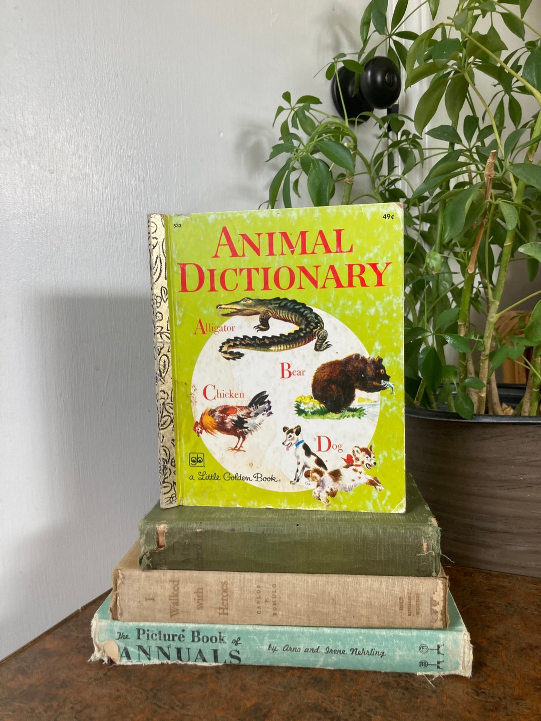 Vintage Animal Dictionary Little Golden Book - Etsy