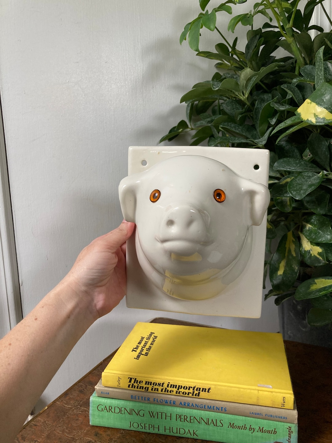 White Ceramic Pig Head Wall Mount - Etsy