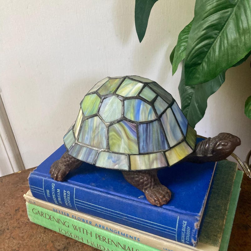 Turtle Lamp - Etsy