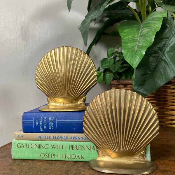 Shell Bookends - Etsy