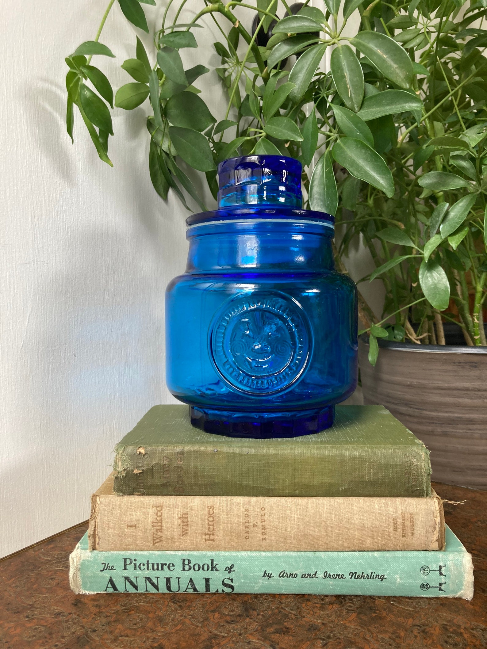 Wheaton NJ Sun Face Jar - Etsy