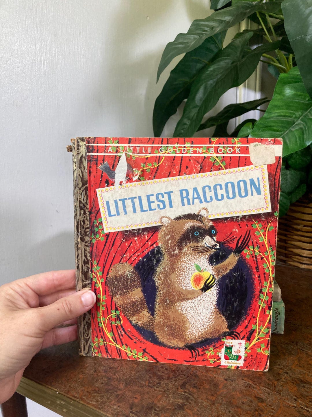 Littlest Raccoon Little Golden Book - Etsy