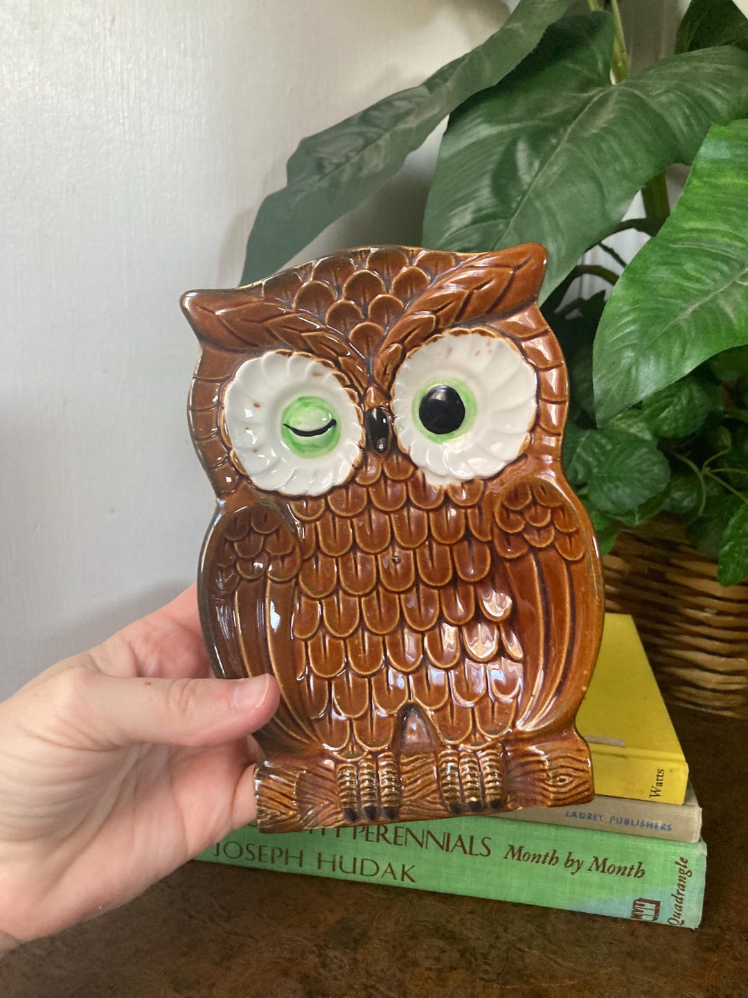 Ceramic Winking Owl Tray - Etsy