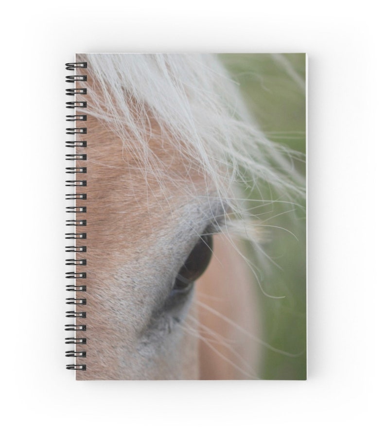 Palomino Horse Notebook, Writing Gift for Horse Lover, Girl's Diary ...