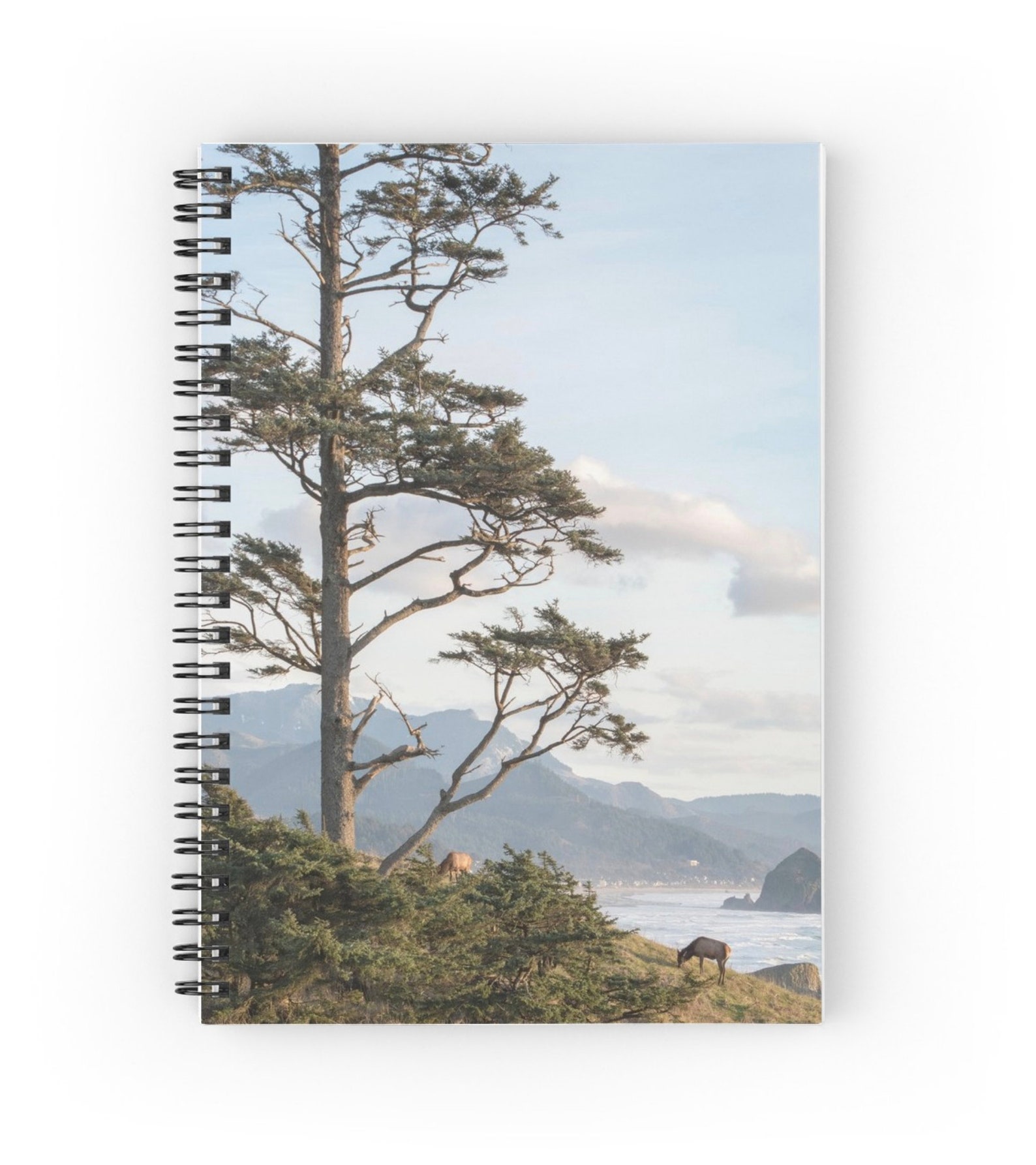 Natural Scenic Ocean View Photo Journal Beach Notebook - Etsy