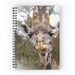 Giraffe Notebook Fun Gift Funny Animal Spiral Notebook Brown Tan Green ...