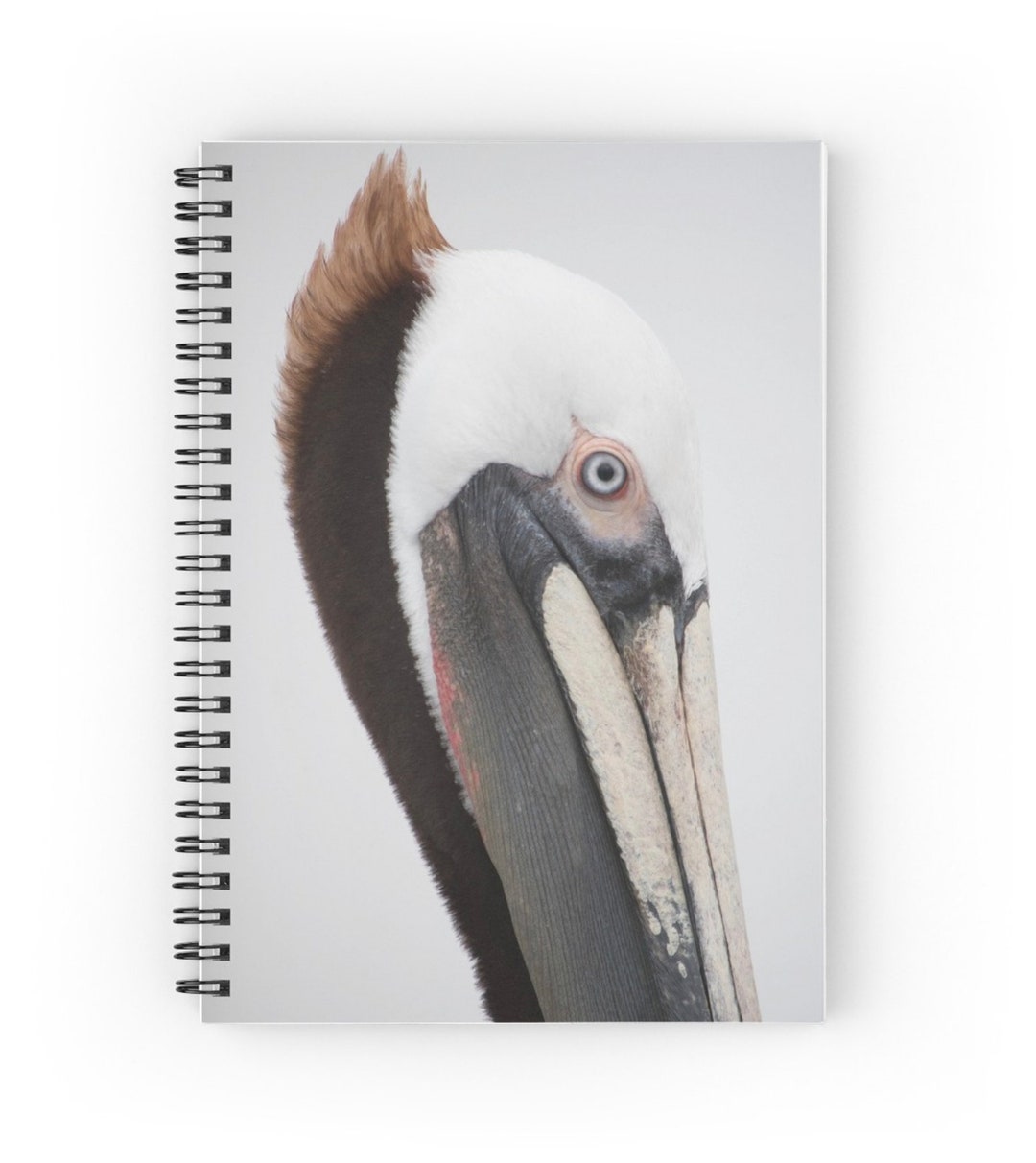 Pelican Notebook, Gift for Birder, Coastal Bird Notebook, Gray Spiral ...