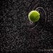 Tennis Gift Tennis Notebook Summer Sports Gift Black Spiral Notebook ...