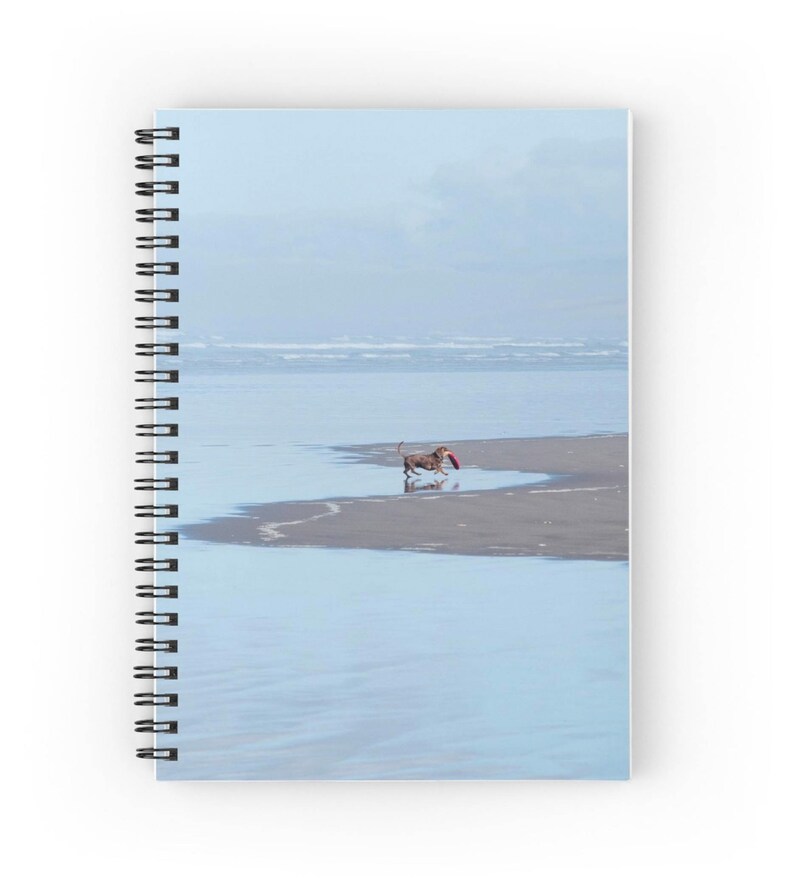 Beach Notebook Beach House Guestbook Dachshund Notebook - Etsy