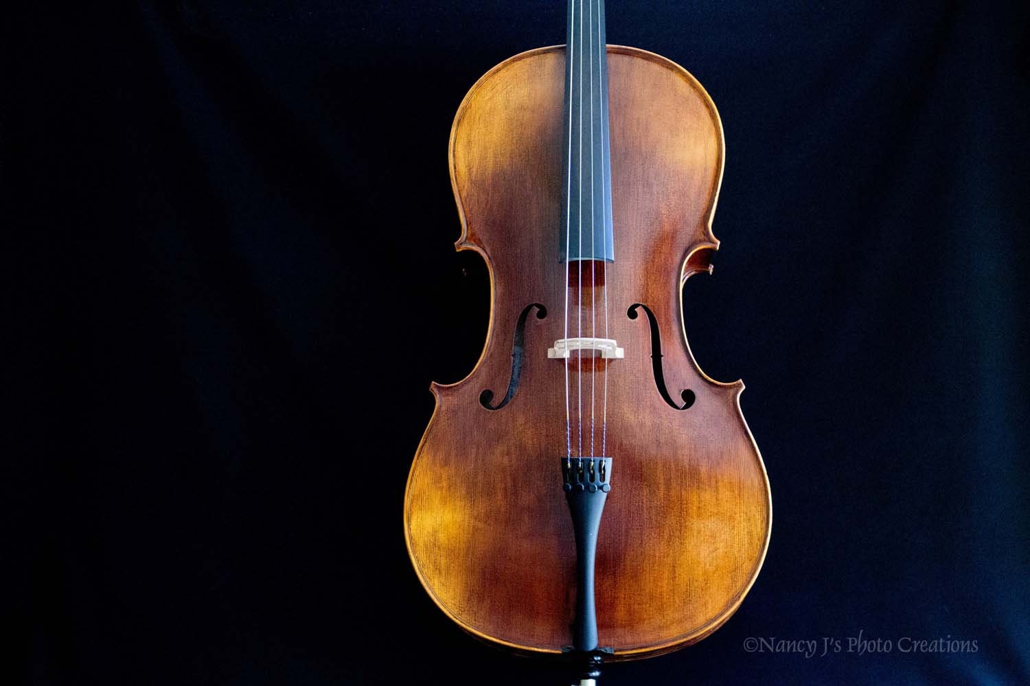 Music Notebook Cello Notebook, Gift for Cellist, Music Journal, Guest ...