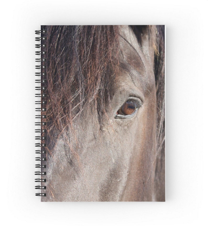 Horse Spiral Notebook Gift for Equestrian Dark Brown Horse Notebook ...