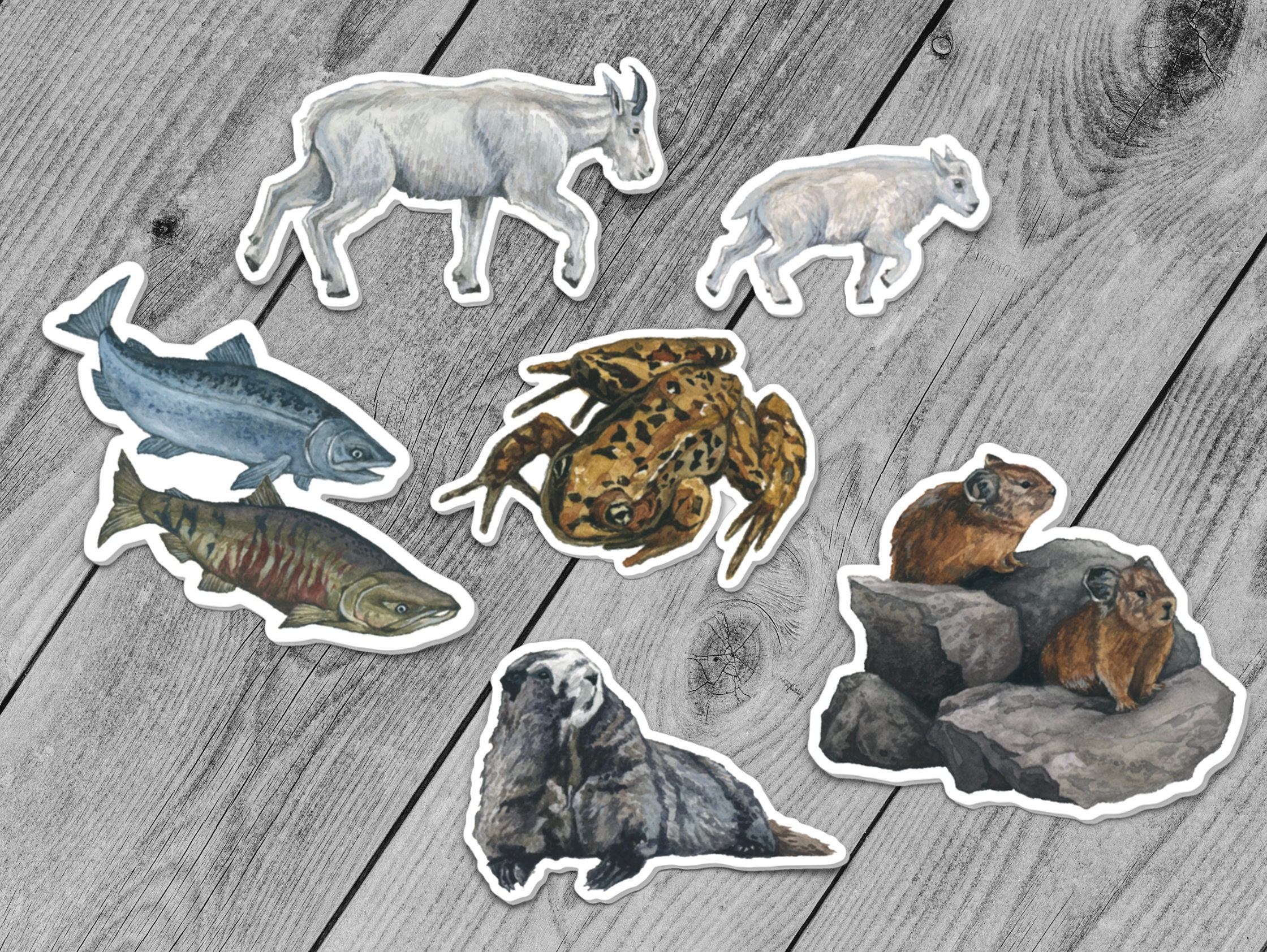 Mountain Pika Sticker - Etsy