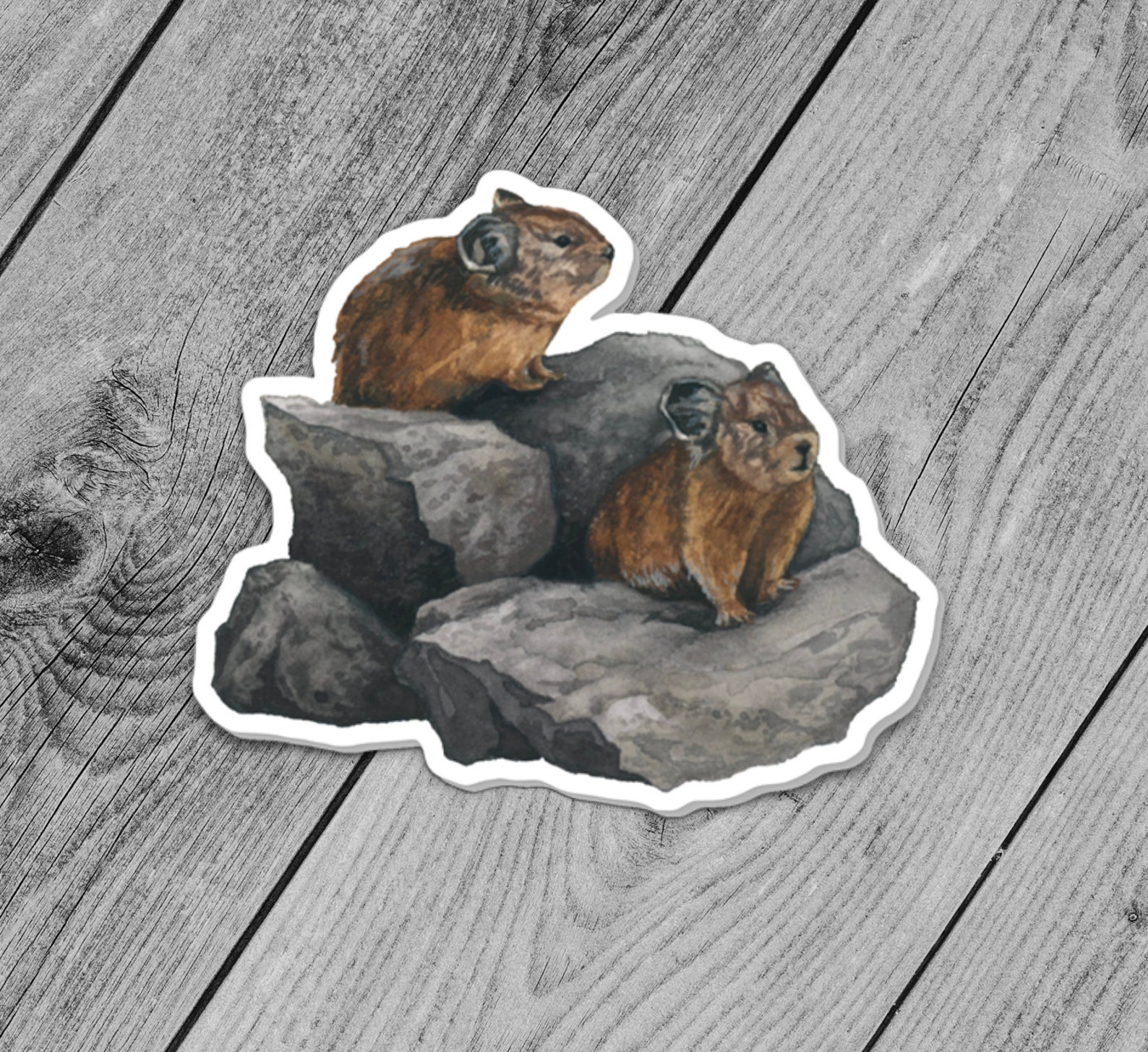 Mountain Pika Sticker - Etsy