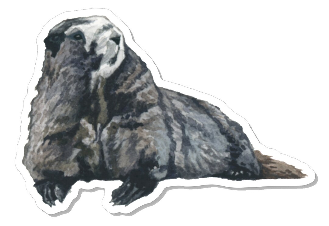 Marmot Sticker - Etsy