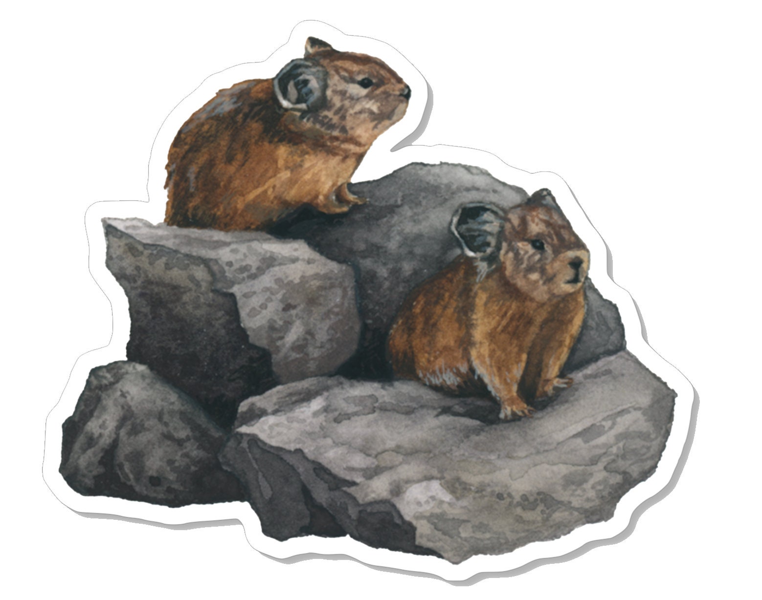 Mountain Pika Sticker - Etsy