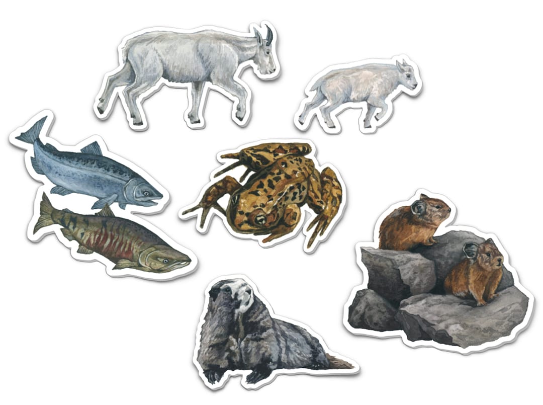 Pacific Northwest Species Sticker Pack - Etsy
