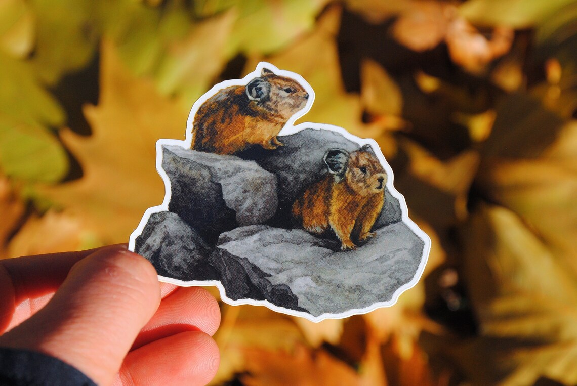 Mountain Pika Sticker - Etsy
