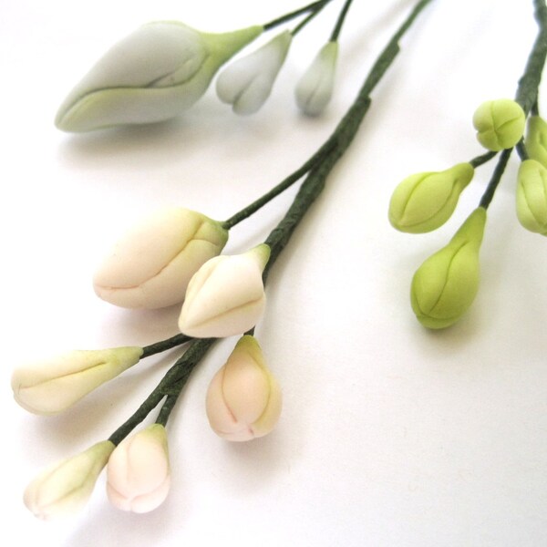 Filler Flower - Etsy