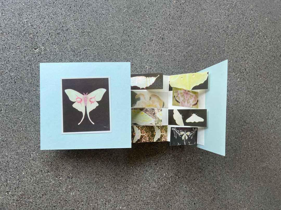 Moth Artist-made Flag Book - Risograph Printed - Etsy