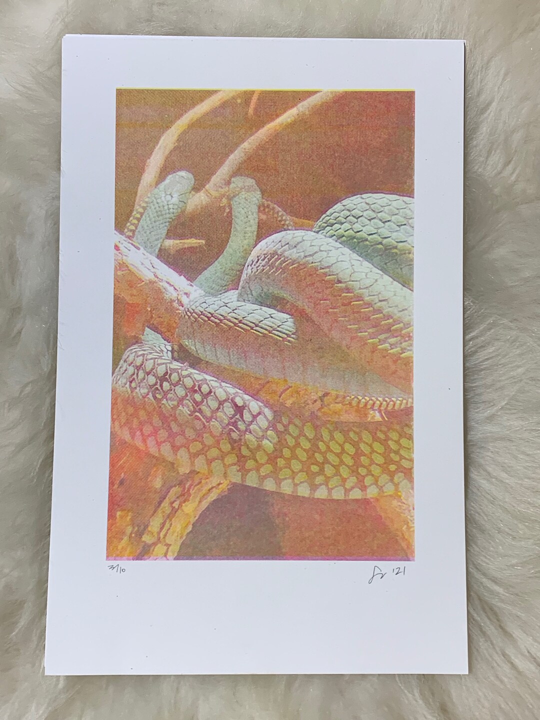 Pastel Snakes Risograph Print - Etsy