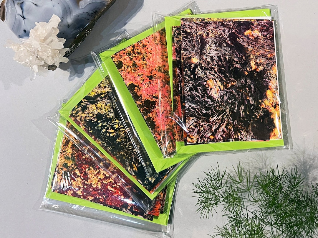 Moss & Seaweed Risograph Greeting Cards (variety Pack - Set of 4) - Etsy