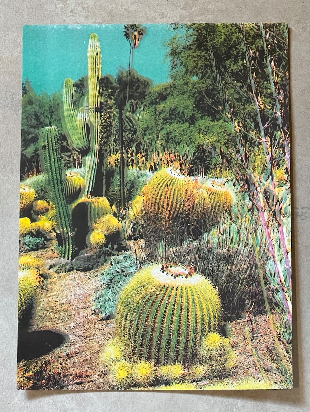 Trippy Cacti Risograph Print Poster - Etsy