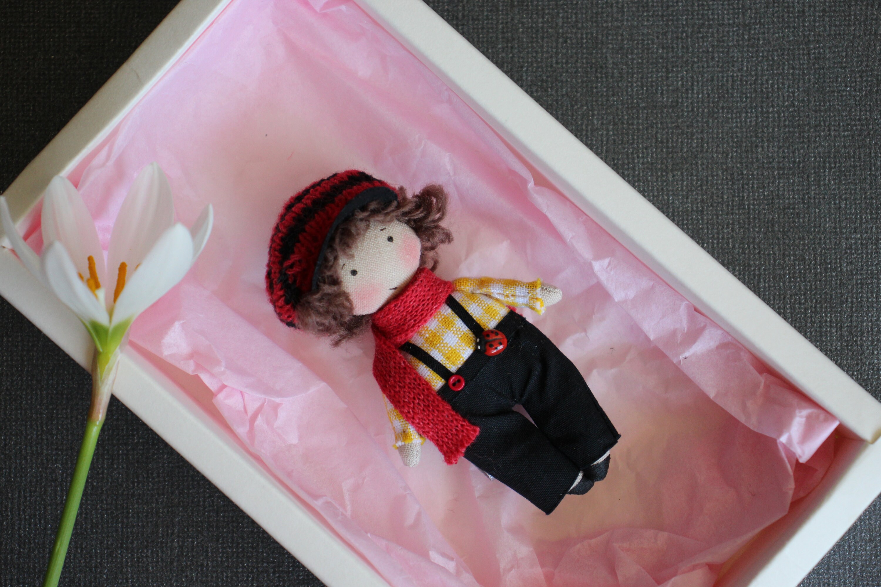 Miniature Personalized Boy Doll Miniature Rag Doll for - Etsy