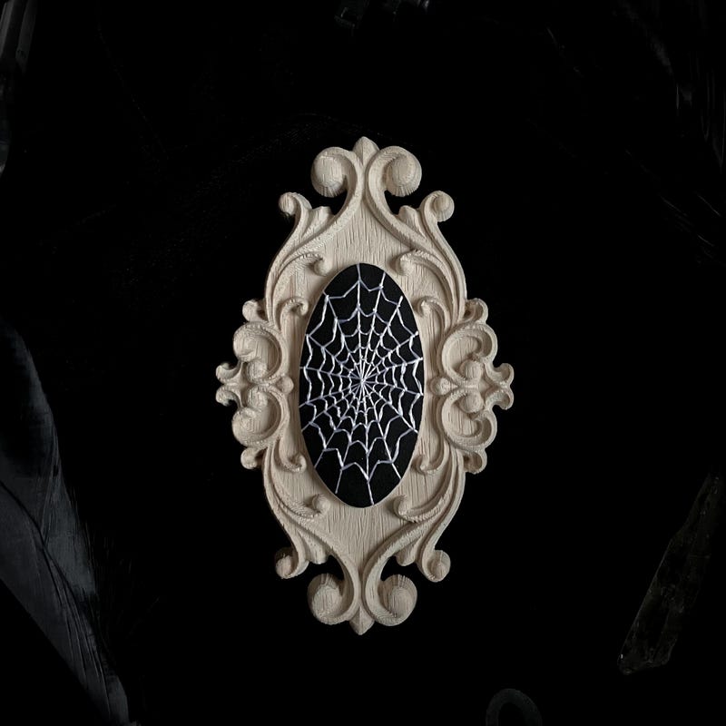 Framed Spider Web - Etsy