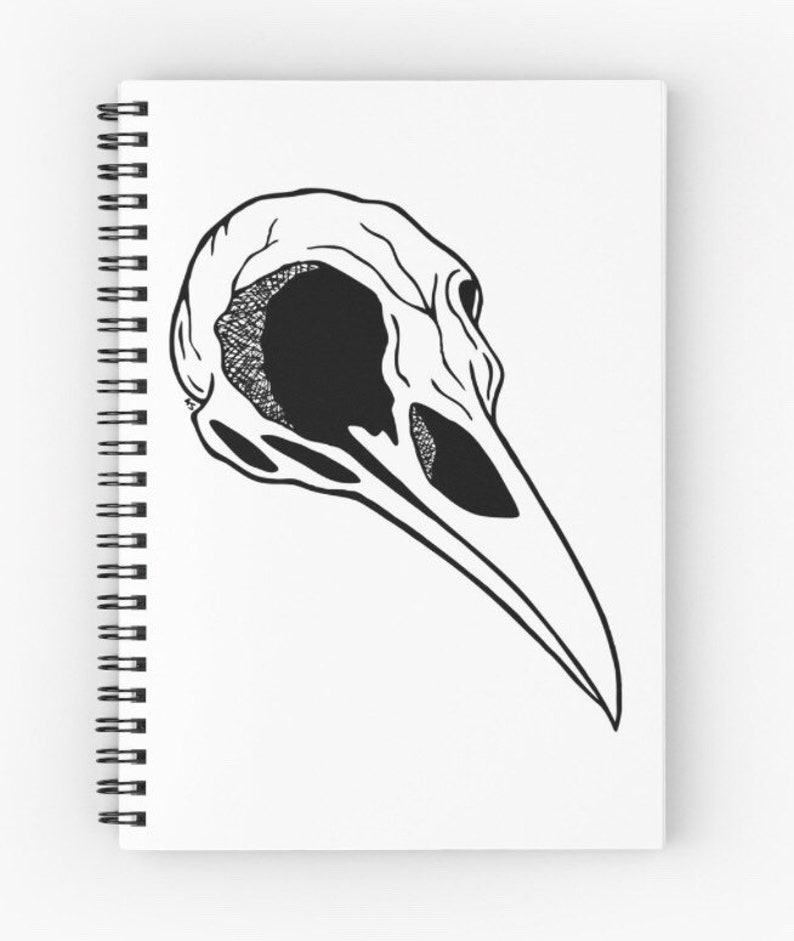 Vinyl Sticker Crow Skull Sticker Skull Sticker Taxidermy Etsy