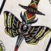 Death Moth Tattoo Print, Moth Dagger Print, Tattoo Print, Dagger Tattoo ...