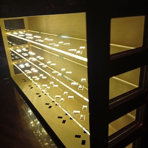 Completely Closed Acrylic and Wood Display Cabinet With LED Lightdie ...