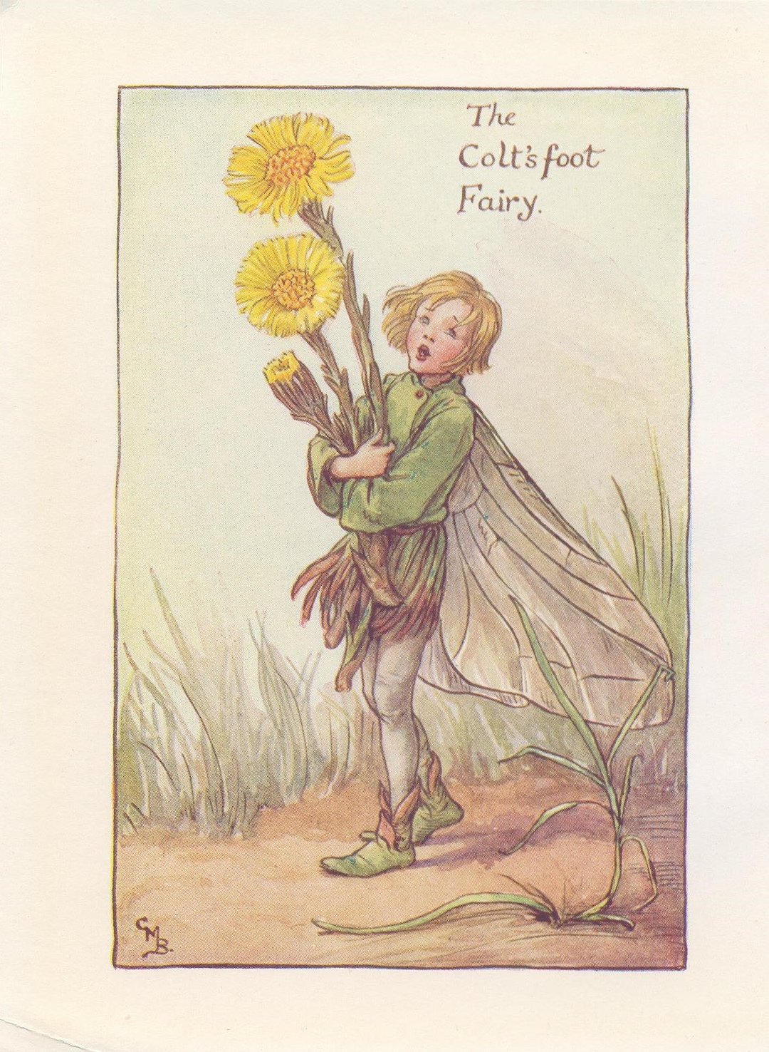 Cicely Mary Barker Colt's Foot Fairy, Flower Fairies of Spring ...