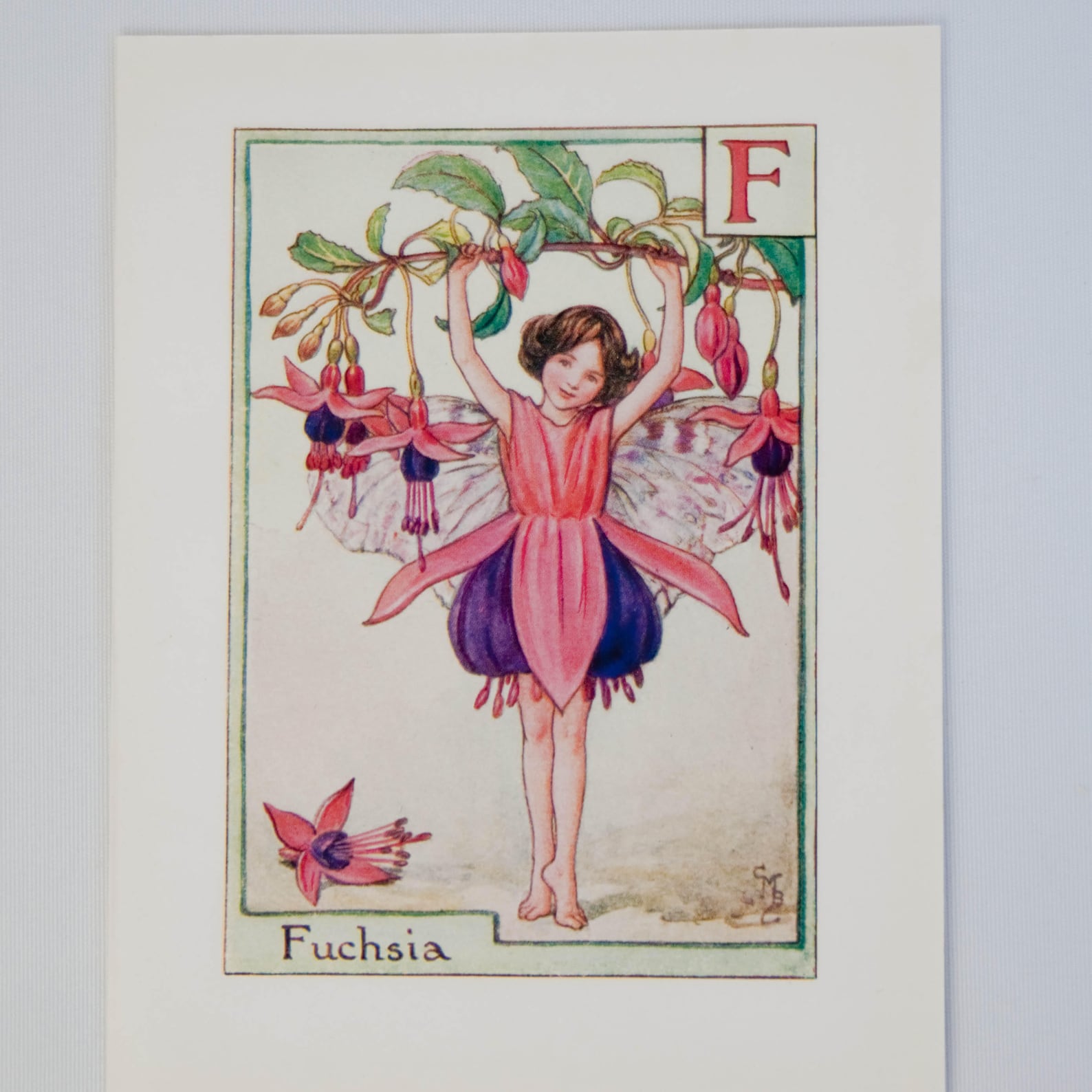 Vintage Flower Fairies Print, Letter F Fuchsia, Cicley Mary Barker ...
