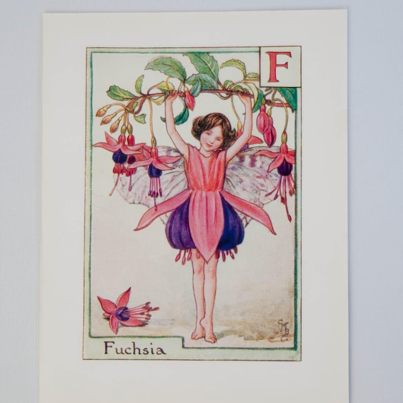 Vintage Flower Fairies Print, Letter F Fuchsia, Cicley Mary Barker ...