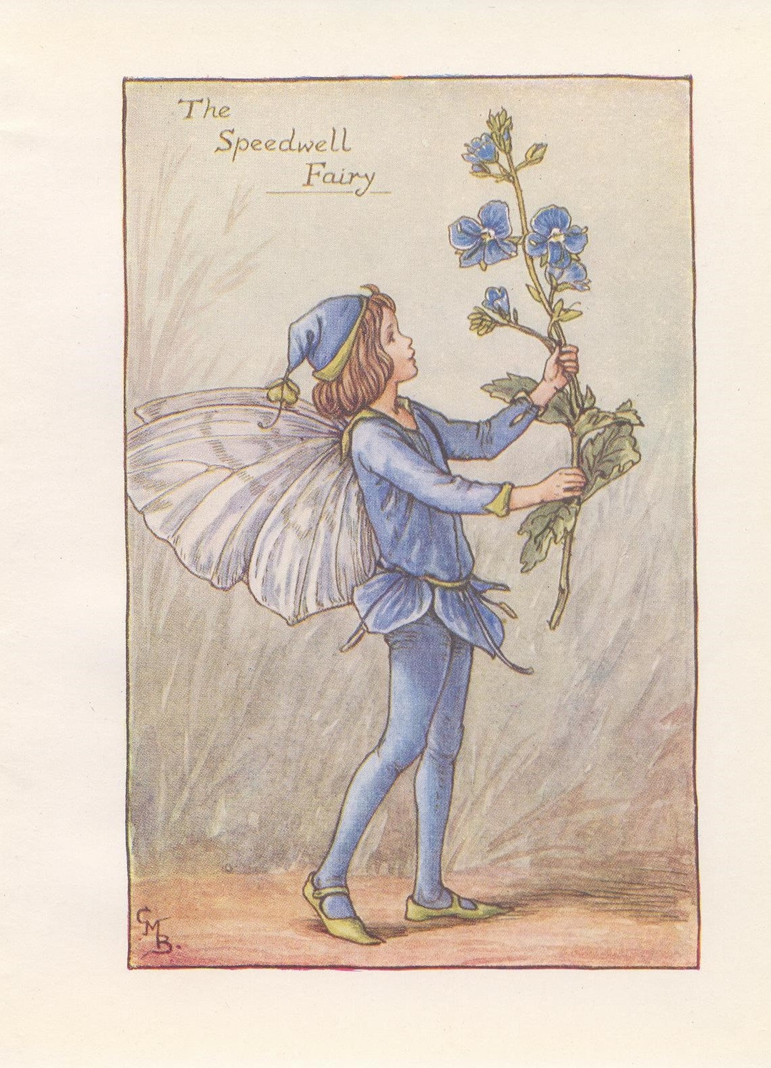 Vintage Speedwell Fairy Print, Cicely Mary Barker, 1940s Nursery Decor ...