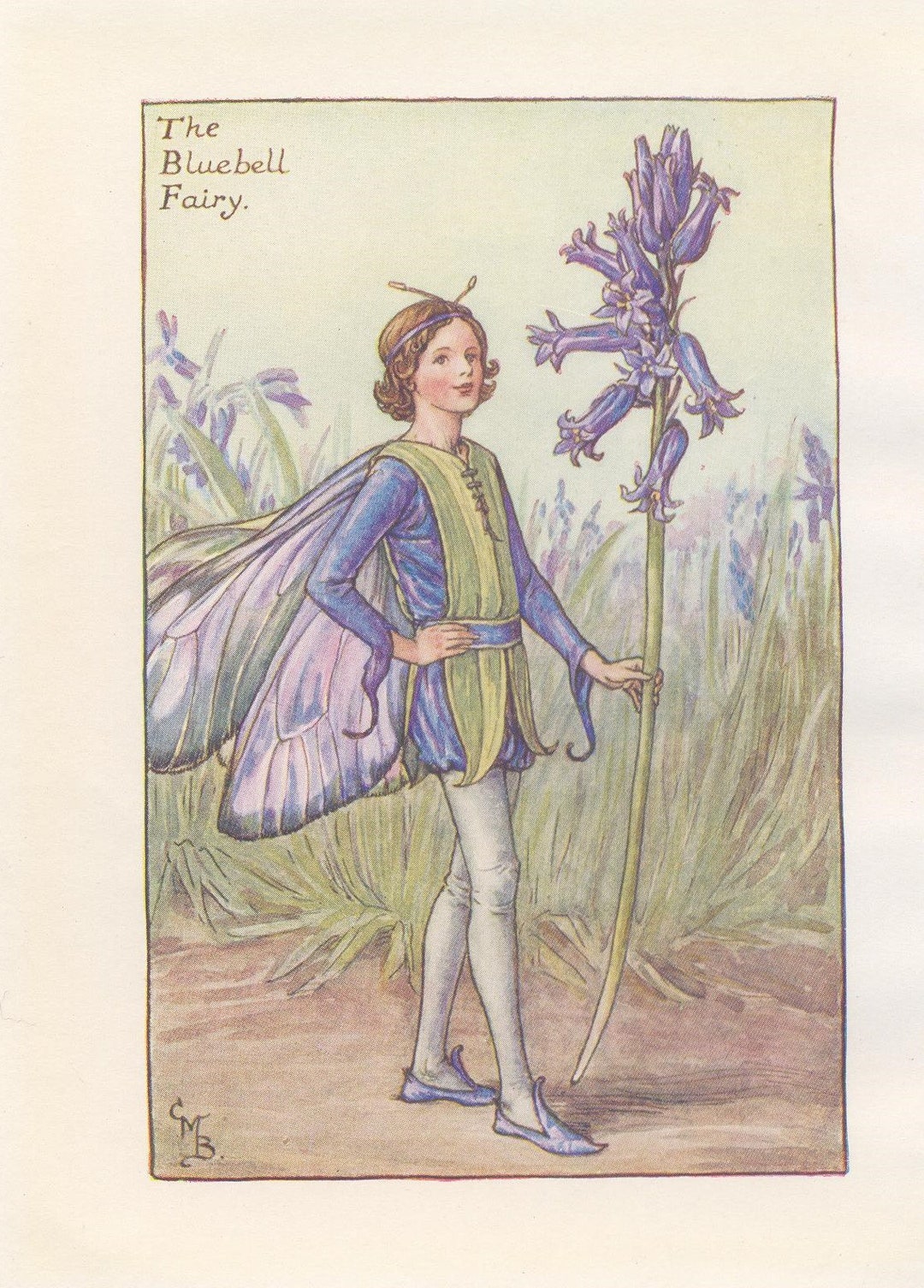 Original the Bluebell Fairy Print, Flower Fairies of the Spring ...