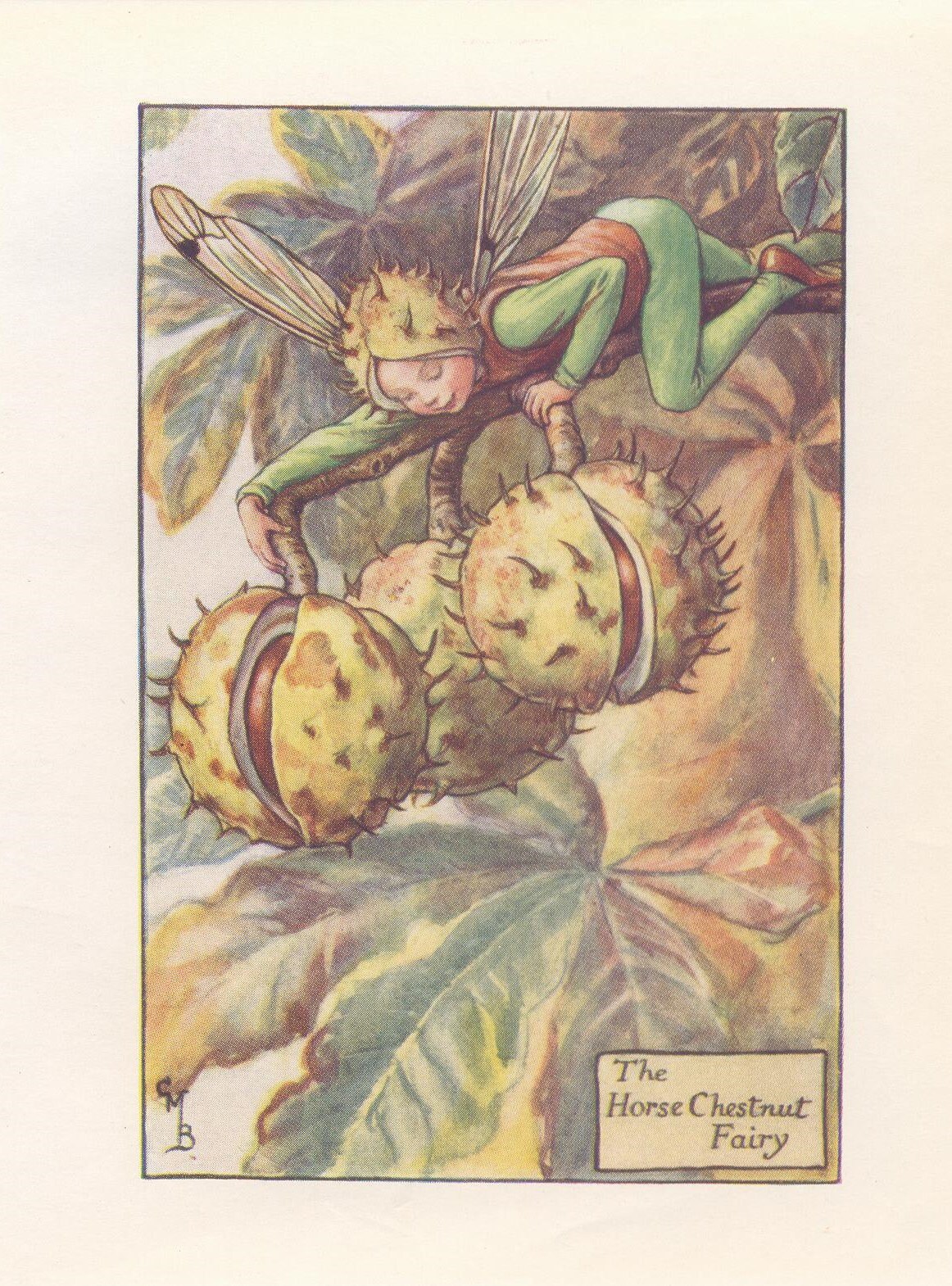 Vintage Horse Chestnut Fairy Print, Cicely Mary Barker, Flower Fairies ...