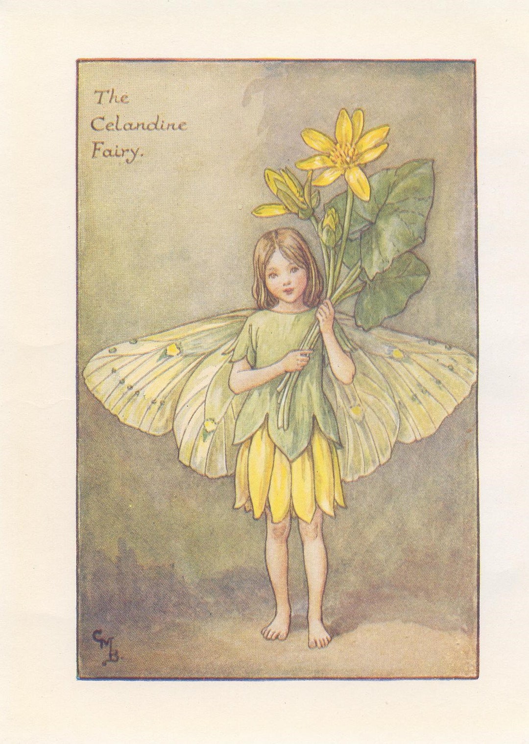 Vintage Celandine Fairy Print, Flower Fairies of the Spring, Cicely ...