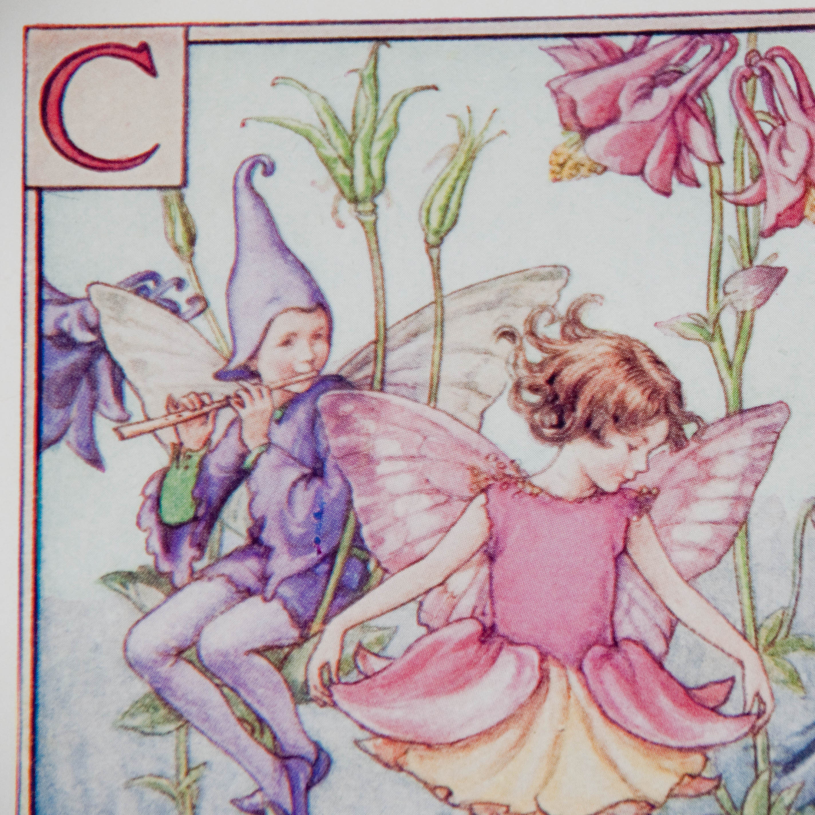 Original Flower Fairy Alphabet Letter C, Columbine, Cicley Mary Barker ...